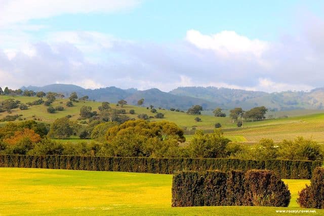 The best things to do in Adelaide from food, wine, walks and festivals