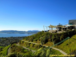 Fun & Cultural Things To Do In Rotorua New Zealand