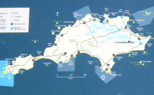 10 Fun Things To Do on Rottnest Island Australia