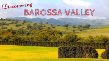 Discovering Barossa Valley on a Food and Wine Tour