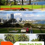 Tips For Visiting Kings Park: The Jewel of Perth City