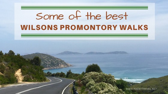 8 Best Wilsons Promontory Walks For Nature Lovers