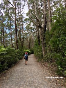 8 Best Wilsons Promontory Walks For Nature Lovers