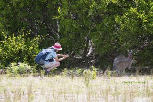 8 Best Wilsons Promontory Walks For Nature Lovers