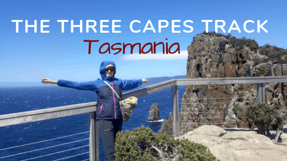 Three Capes Track Tasmania: Walks for the Solo Traveller - Rocky Travel