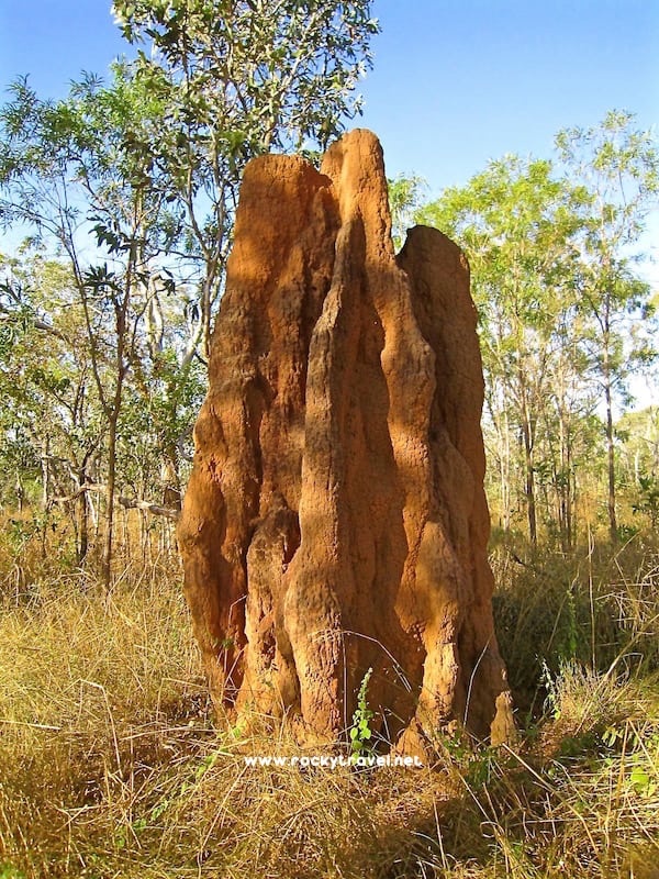 Australia Top End: A guide on how to explore northernmost Australia