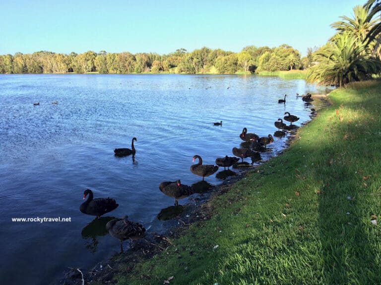 Where To Stay In Perth WA: Best Areas & Suburbs - Rocky Travel