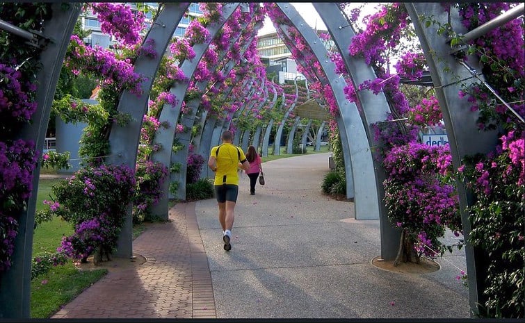 Where To Stay In Brisbane: 7 Best Areas - Rocky Travel